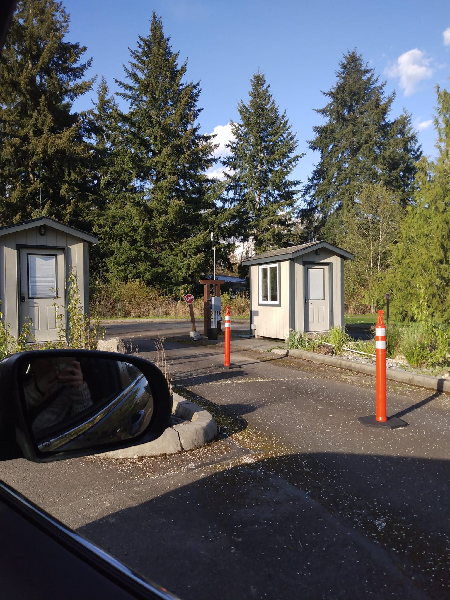 Another Bundy Blog. | The Yellow Beetle