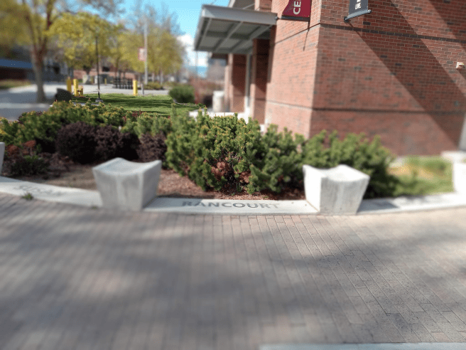 Susan Rancourt Memorial Garden. | Another Bundy Blog.