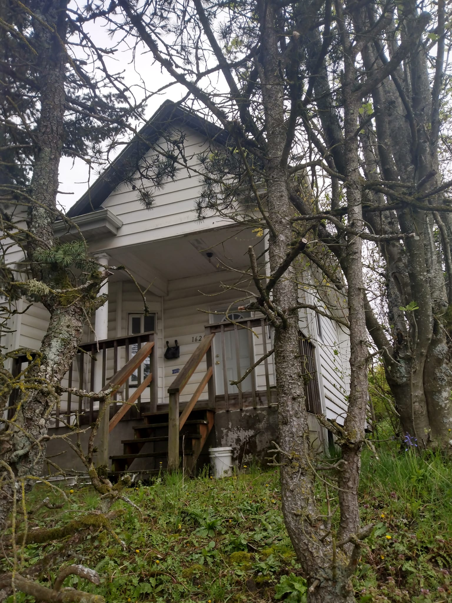 Bundy’s Seattle Homes. | Another Bundy Blog.