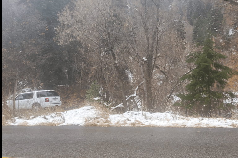 Laura Ann Aime. | Another Bundy Blog.