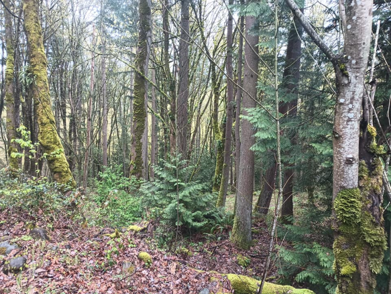 Janice Ann Ott. | Another Bundy Blog.