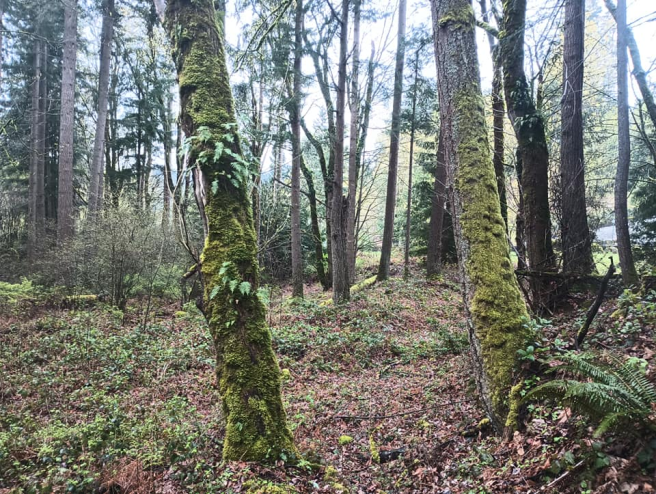 Janice Ann Ott. | Another Bundy Blog.