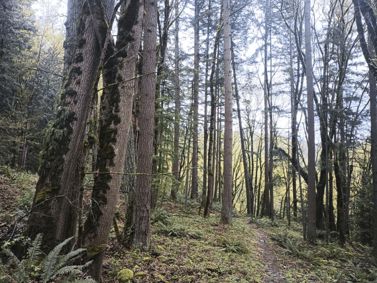 Janice Ann Ott. | Another Bundy Blog.