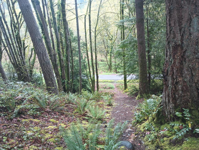 Janice Ann Ott. | Another Bundy Blog.