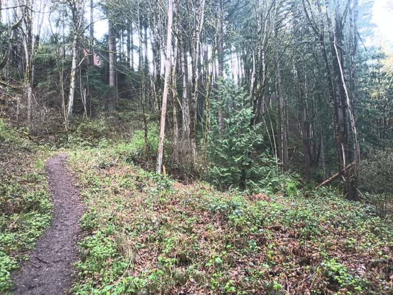 Janice Ann Ott. | Another Bundy Blog.