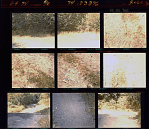 Janice Ann Ott. | Another Bundy Blog.