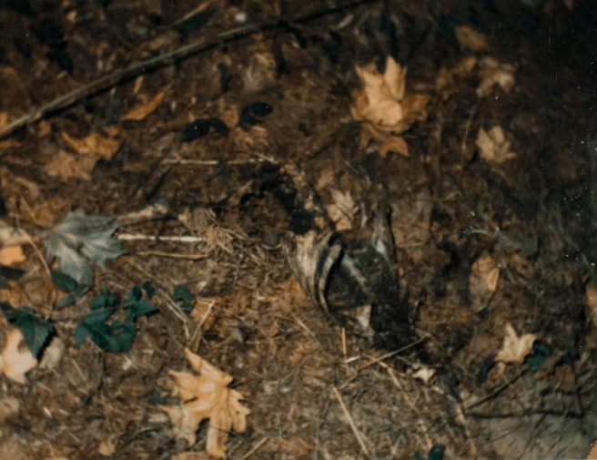 Janice Ann Ott. | Another Bundy Blog.