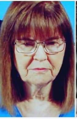 Another Bundy Blog. | The Yellow Beetle