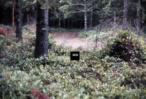 William E. Cosden Jr. | Another Bundy Blog.