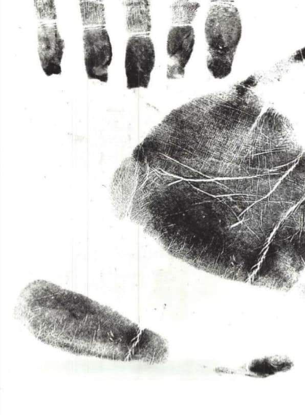 Ted Bundy, Finger and Hand Prints. | Another Bundy Blog.