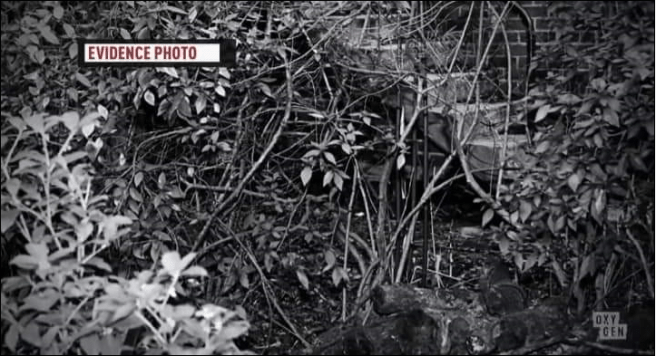 Ted Bundy Victim Deep Dive. | Another Bundy Blog.