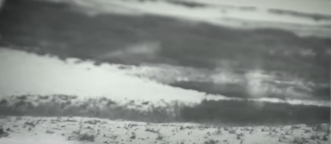 Ruth Marie Terry, AKA ‘the Lady of the Dunes.’ | Another Bundy Blog.