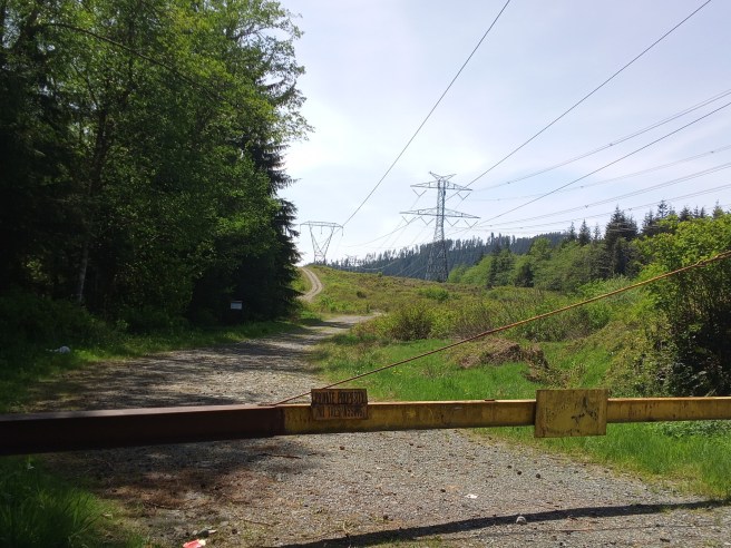 Ted Bundy’s Taylor Mountain Dump Site, May 2025. | Another Bundy Blog.