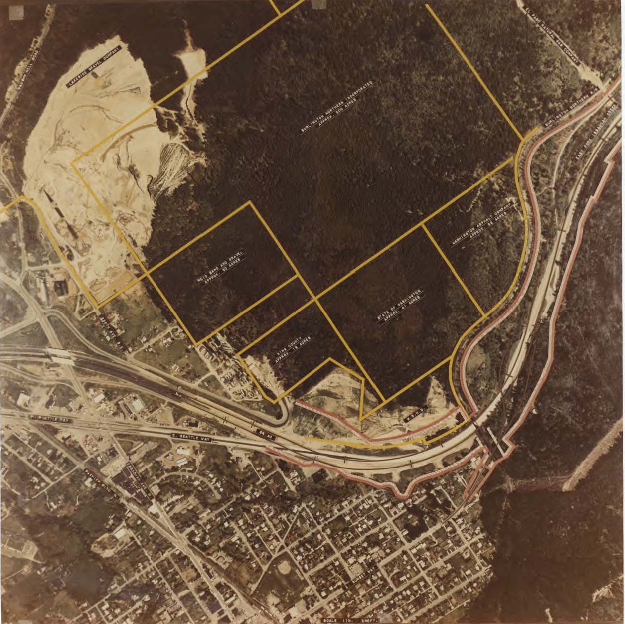 Another Bundy Blog. | The Yellow Beetle