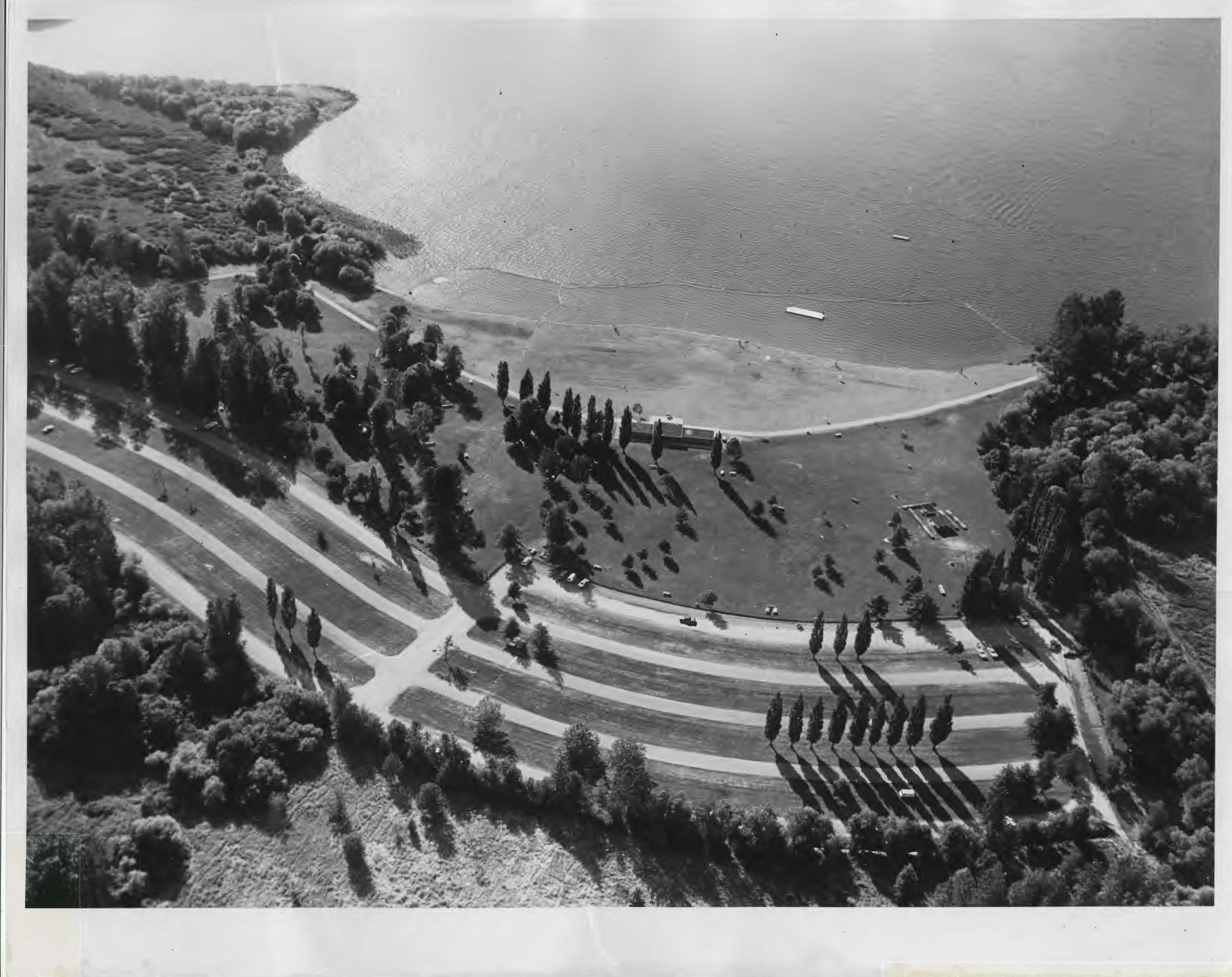 Another Bundy Blog. | The Yellow Beetle