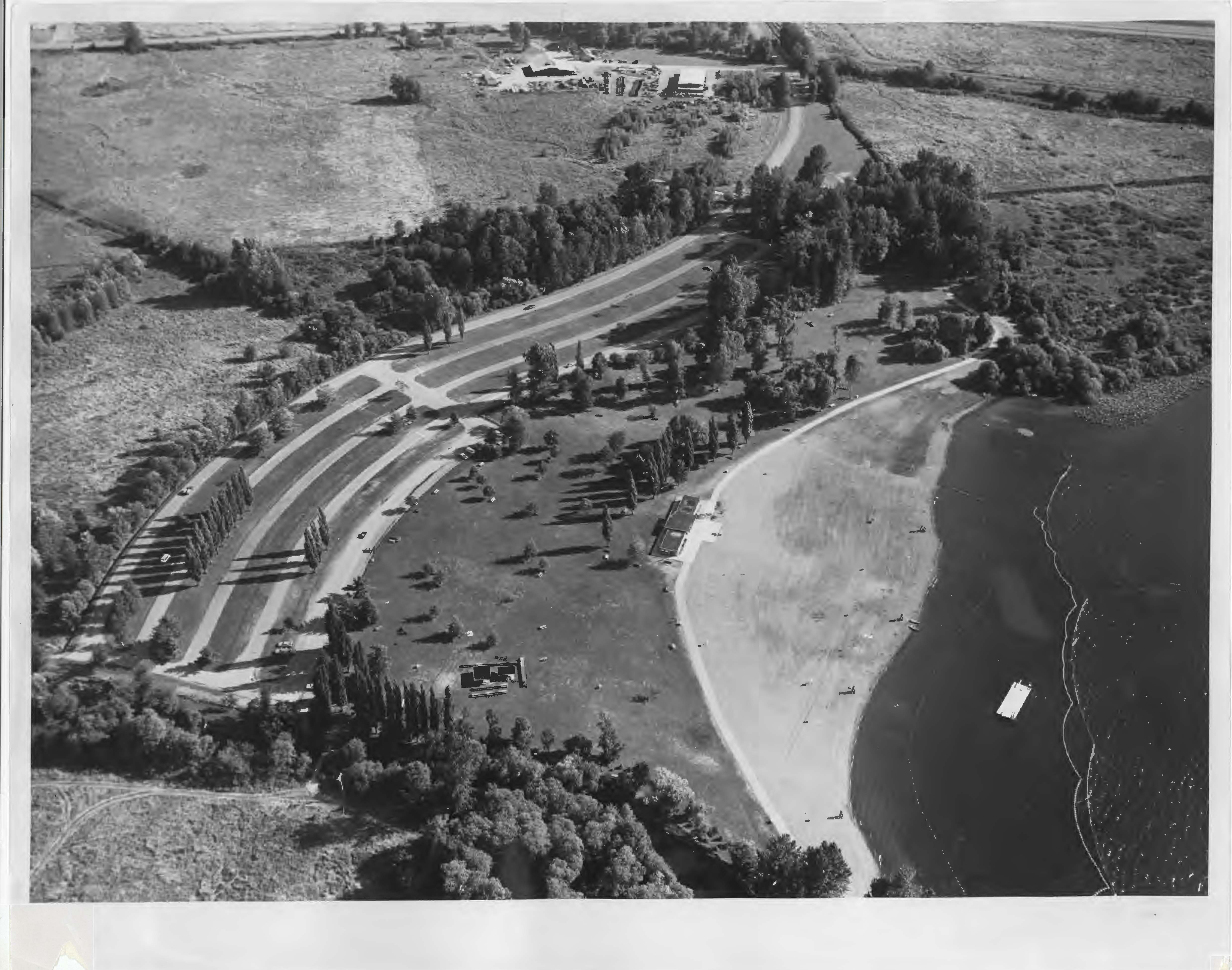 Another Bundy Blog. | The Yellow Beetle