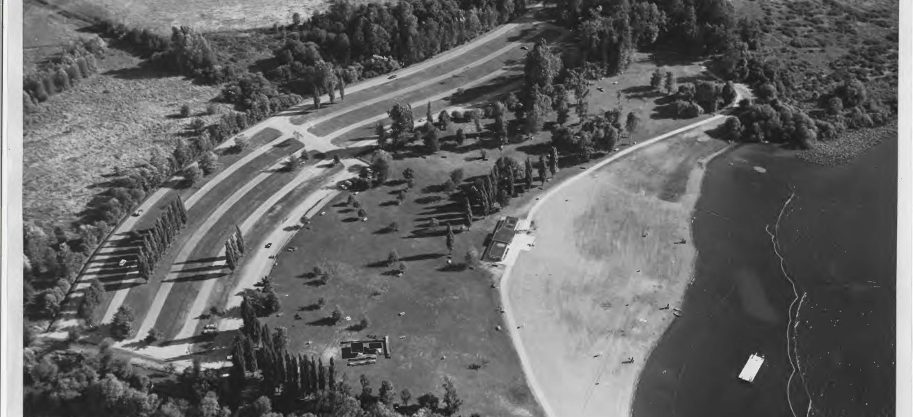 Another Bundy Blog. | The Yellow Beetle